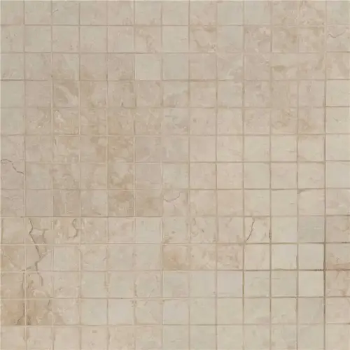 MS International, Inc NANSIVO2X2 Ansello Ivory 12 in. x 12 in. Matte ...