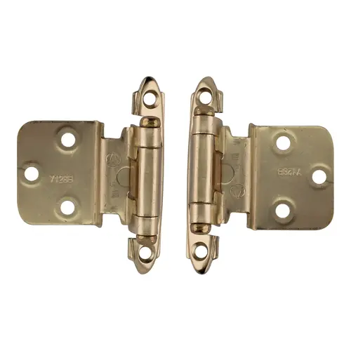 Brixwell BXB38767-XCP5 Non Self Closing, Free Swinging Variable Overlay ...
